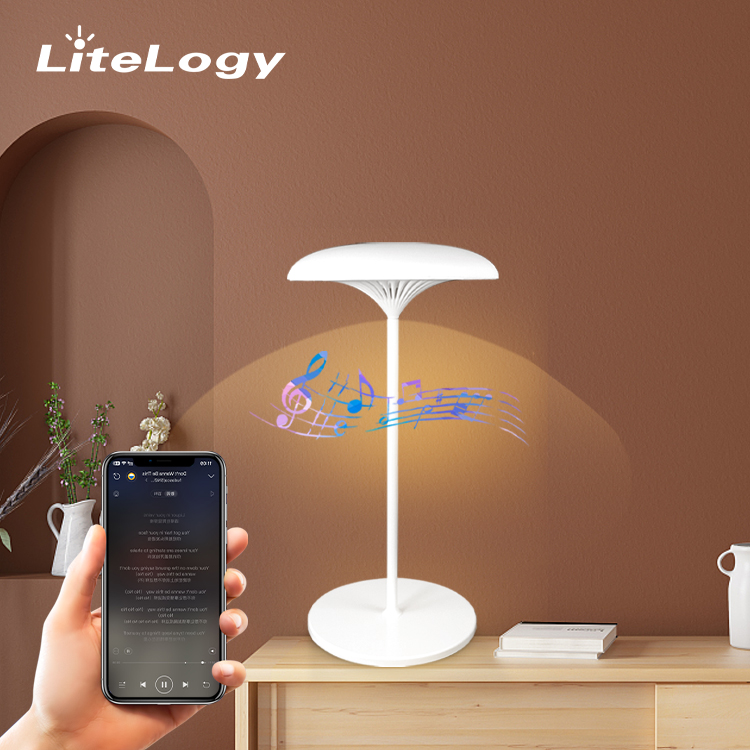 rechargeable table lamp with Bluetooth speaker - Litelogy | ShenZhen ...